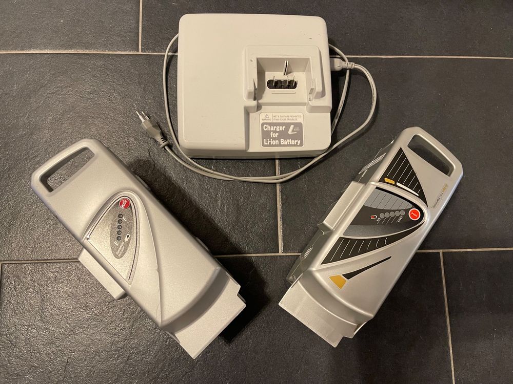 E-Bike Flyer HS Lady 45 km/h mit zwei Akkus super Zustand (Gebraucht ...