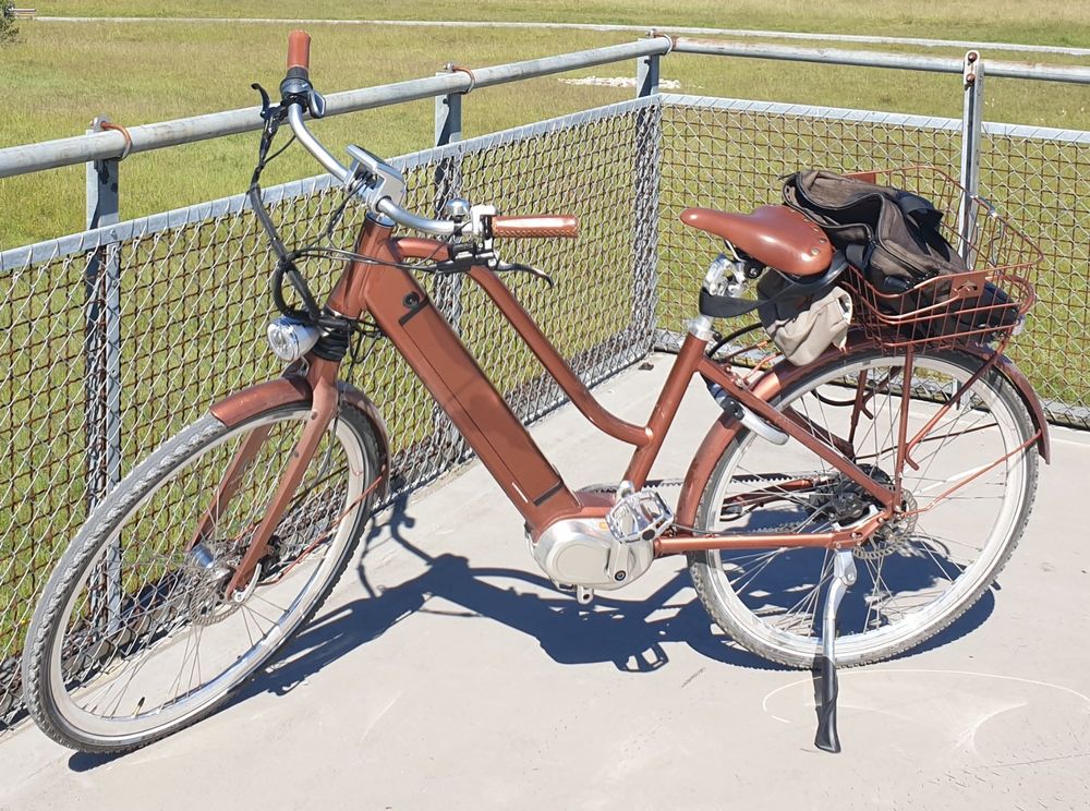 E Bike von Ego Movement zu verkaufen | Kaufen auf Ricardo