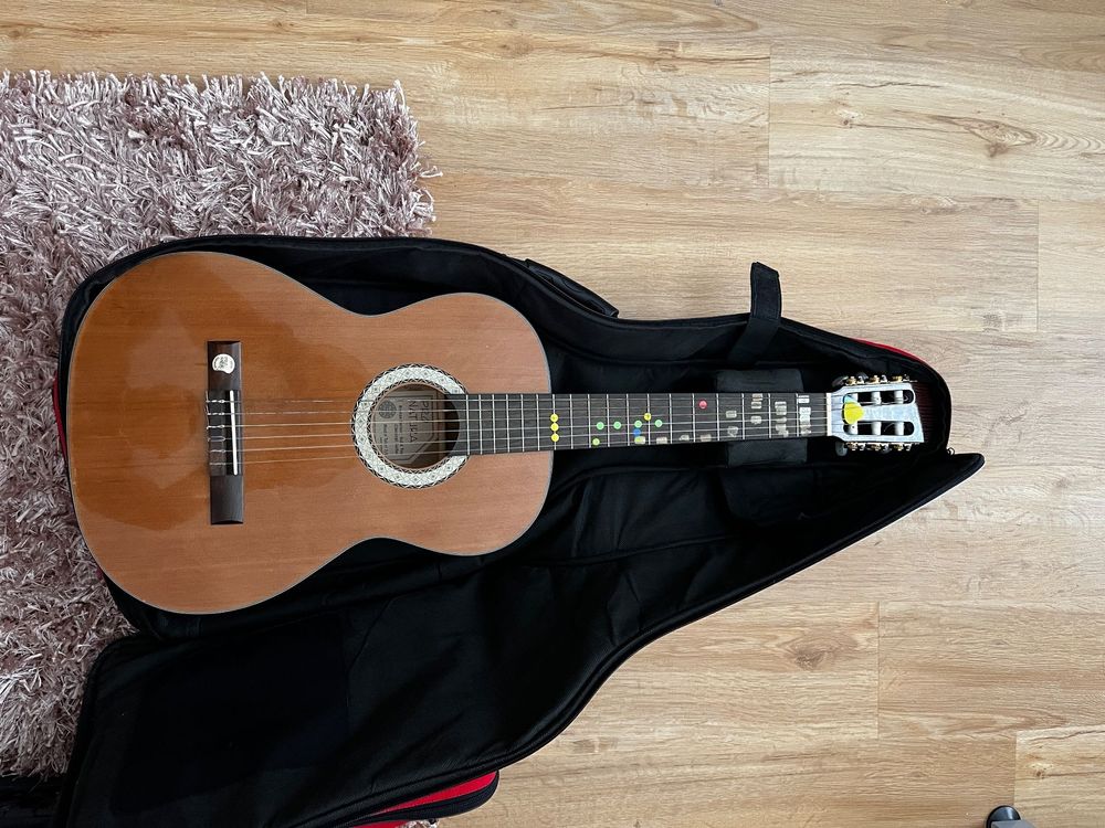 Gitarre | Kaufen auf Ricardo