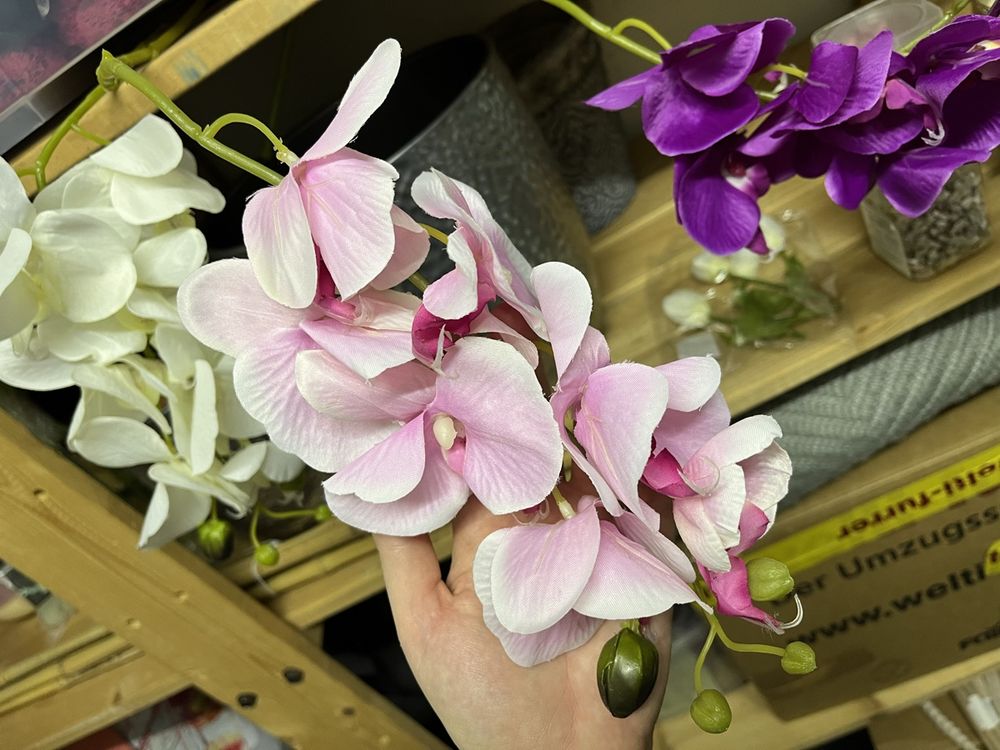 Fake Orchideen 4 Stück (Gebraucht) in Gockhausen für CHF 10 – mit Lieferung auf Ricardo kaufen