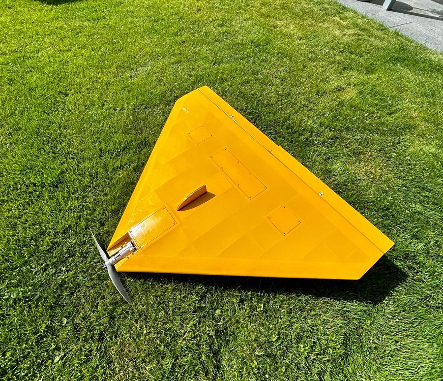 Delta RC - Flugmodell | Kaufen auf Ricardo