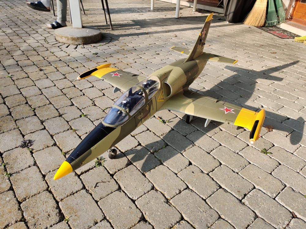 L-39 Albatros von Freewing | Kaufen auf Ricardo