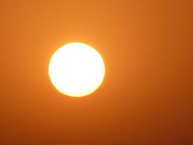 Windows 10/11 Pro + Office 2021 (Word, Excel, Powerpoint,..) (Neu ...