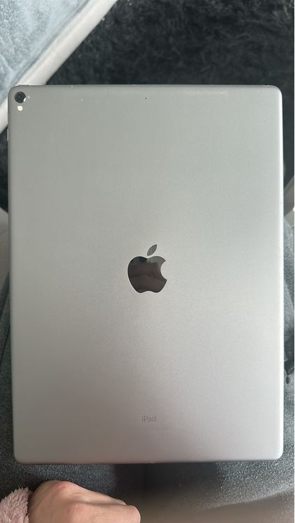 Apple iPad Pro 12.9" Model A1670 (Gebraucht) in Ebikon für CHF 200 ...