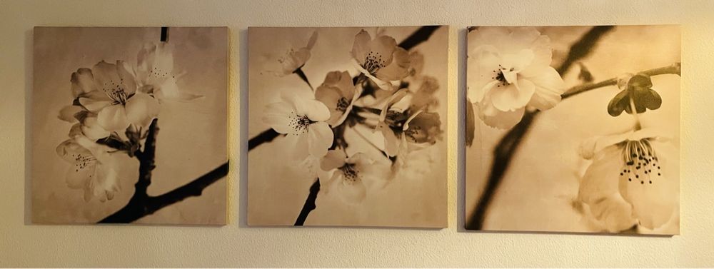 Bilderset Blumen | Kaufen auf Ricardo