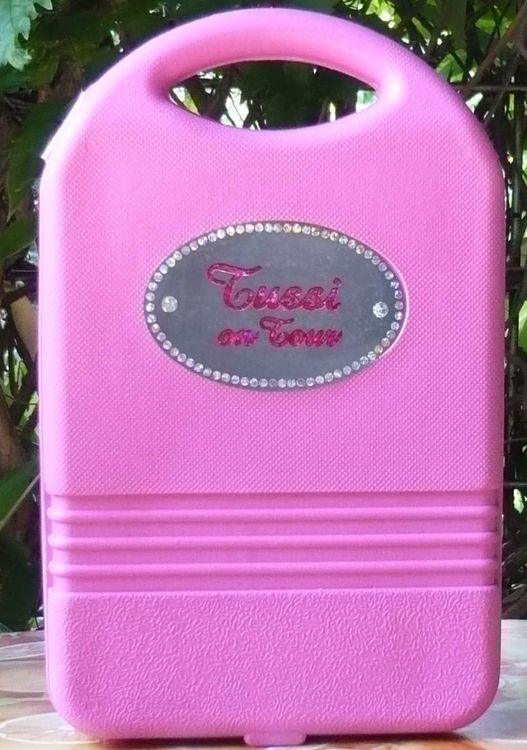 Tussi On Tour Werkzeugkoffer (Barbie Stil) | Kaufen auf Ricardo
