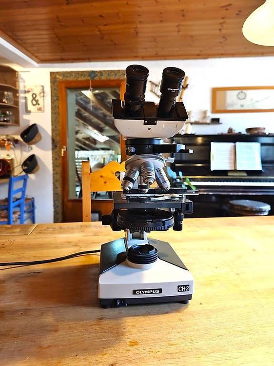 Microscope Olympus CH-2 Contrast de phase et Polarisation (Gebraucht ...