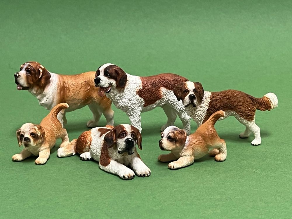 Schleich Bernhardiner Hunde Hund Welpe (Gebraucht) in Ennetbaden für CHF 34 – mit Lieferung auf ...