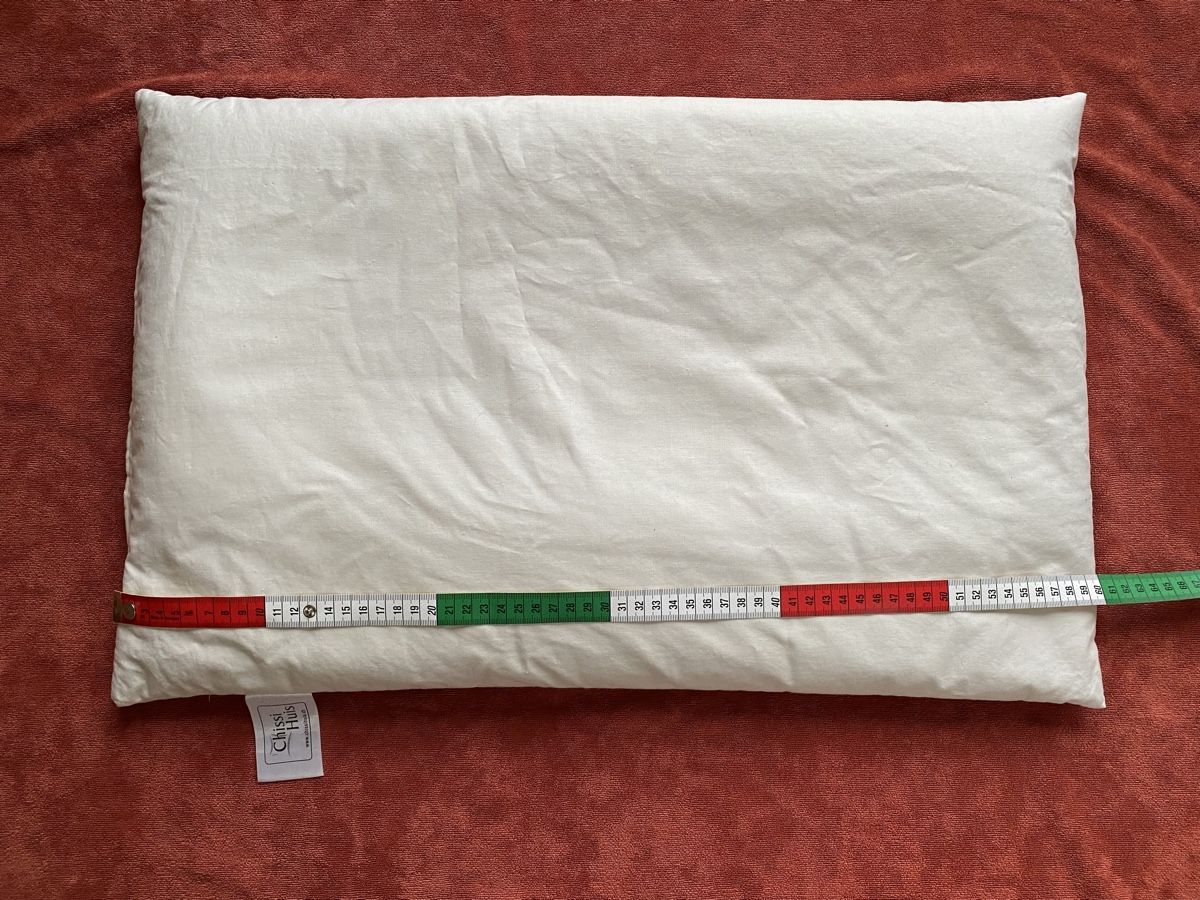 Dinkel Hirse Neuwertig Chissi Huis Kissen, 37x60, au Versan (Neu ...