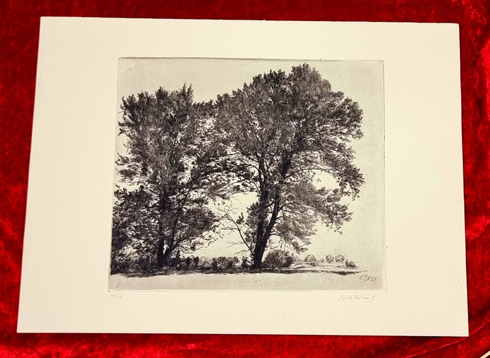 Original-Radierung. Unleserlich handsigniert&nummeriert | Kaufen auf Ricardo