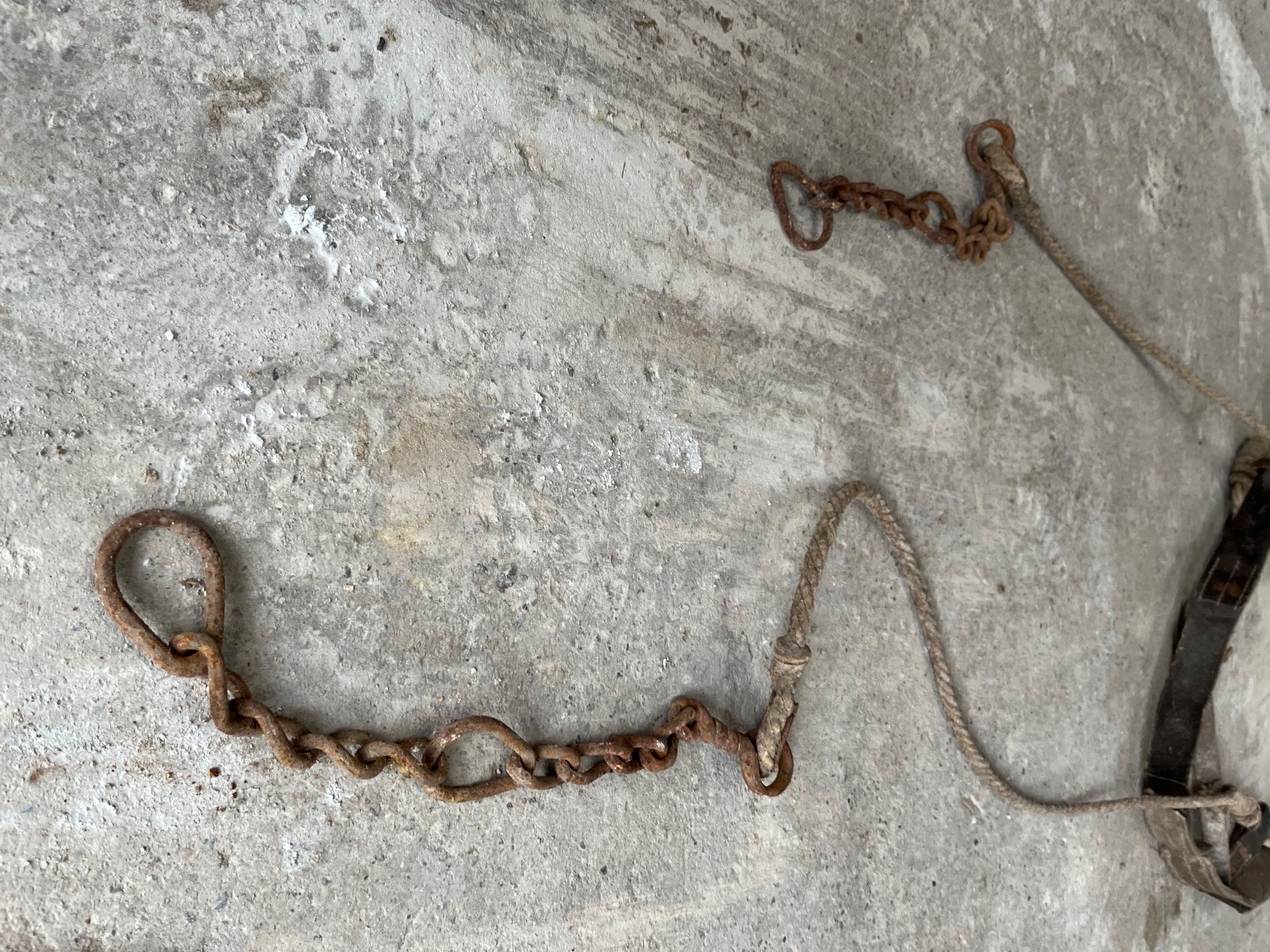 altes Pferde oder Pony Geschirr mit Joch und vielen Beschläg (Gebraucht ...