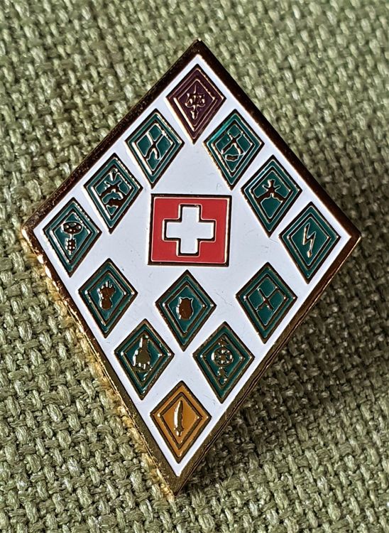 F549 - Pin Schweizer Militär Abzeichen (Gebraucht) in Reinach BL für CHF 6.1 – mit Lieferung auf ...