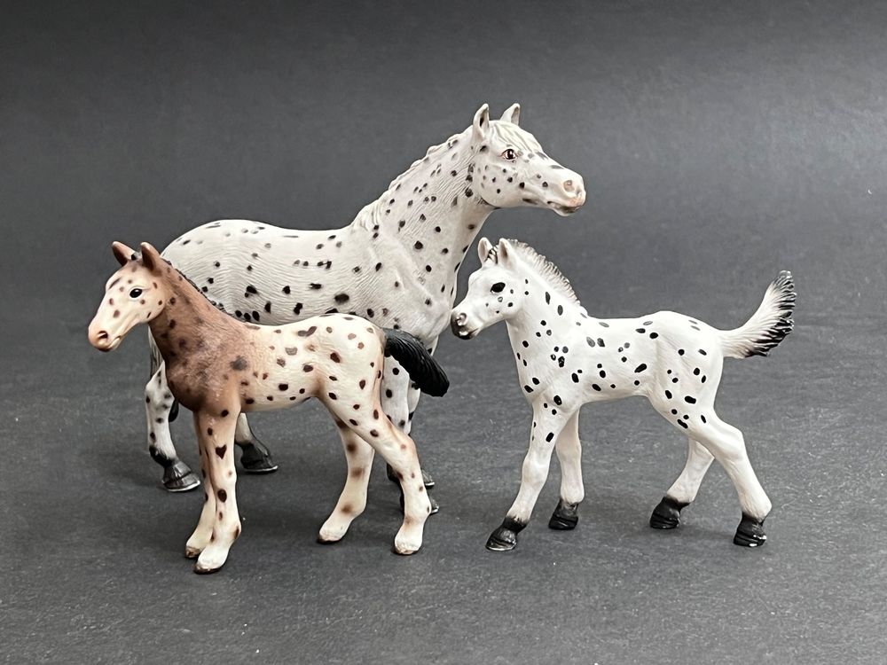 Schleich Knabstrupper Stute Pferd Fohlen (Gebraucht) in Ennetbaden für CHF 18 – mit Lieferung ...