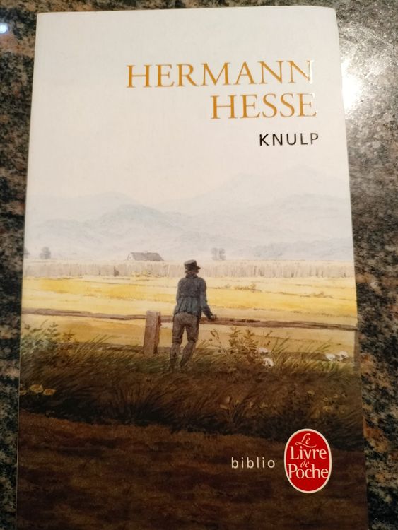 Knulp Hermann Hesse | Kaufen auf Ricardo
