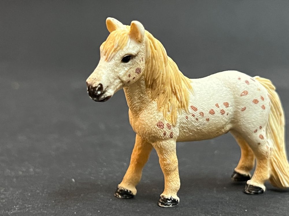 SCHLEICH 13759 - Falabella Wallach Pferd (Gebraucht) in Ennetbaden für CHF 12 – mit Lieferung ...