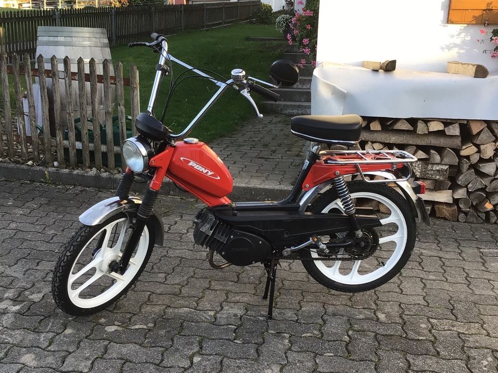 Pony Sachs 503 KTM | Kaufen auf Ricardo