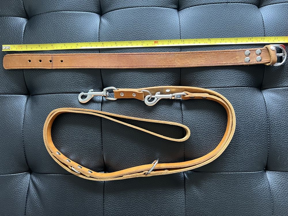 Leine und Halsband aus Leder (Neu (gemäss Beschreibung)) in Winterthur ...