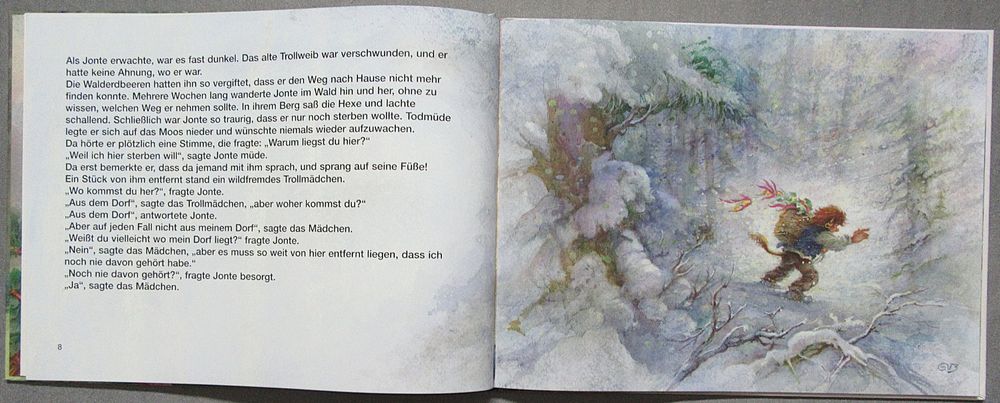 Der Trolljunge und die Hexe - Geschichte ums Leben im Wald (Gebraucht ...