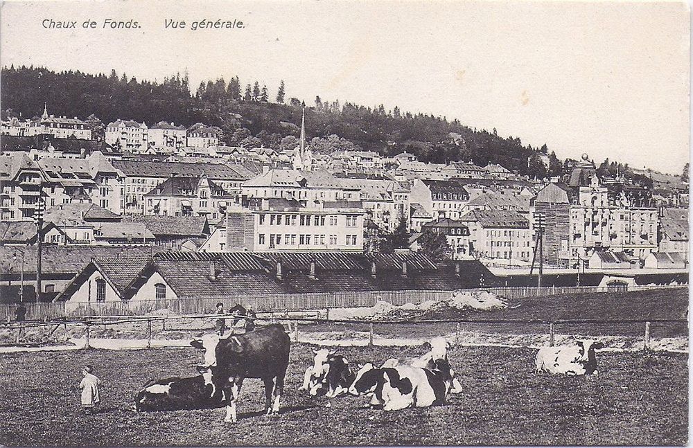 CHAUX - de - FONDS (Gebraucht) in Les Verrières für CHF 7 – mit Lieferung auf Ricardo kaufen