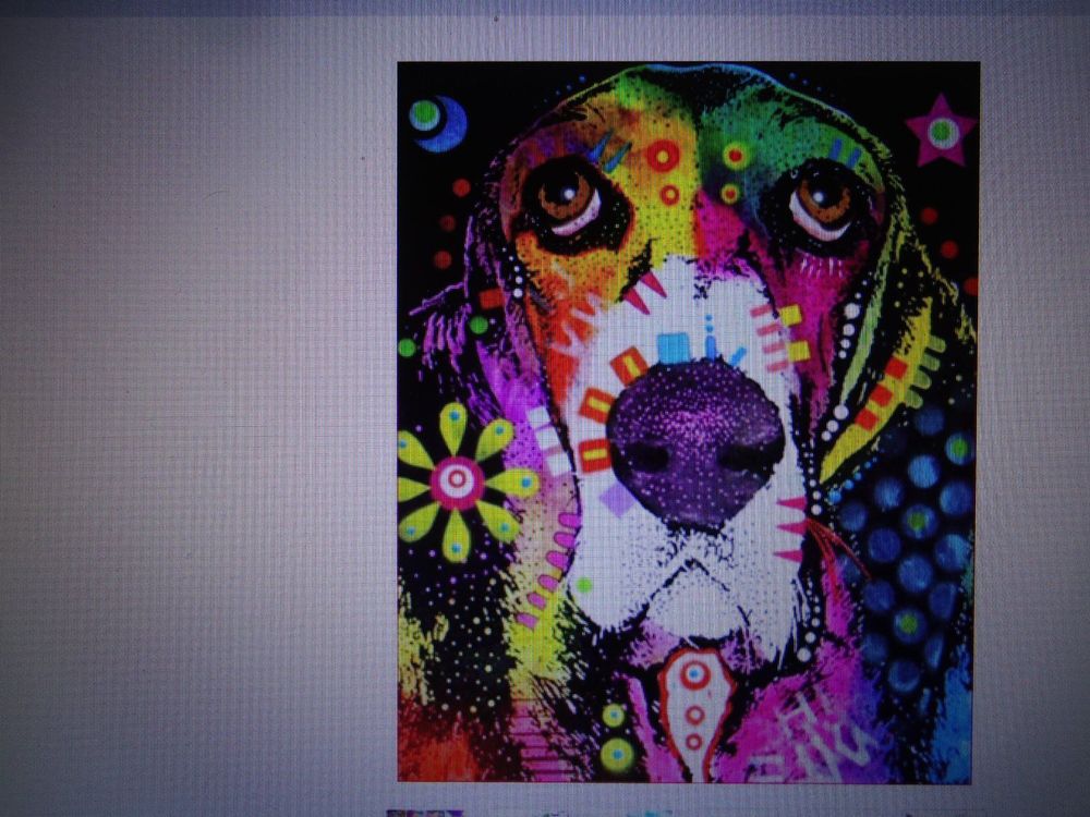 neu! Malen nach Zahlen, 40 x 50 cm, alles dabei + Rahmen | Kaufen auf Ricardo