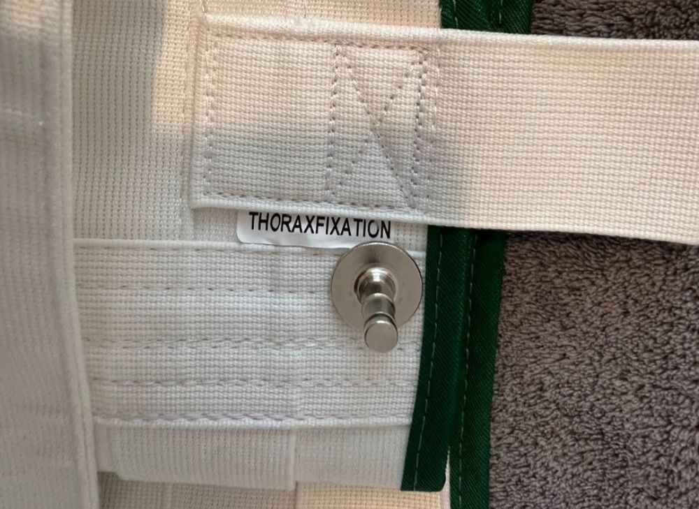 bioCare adhesia Thoraxfixation mit Schrittgurt (Gebraucht) in ...
