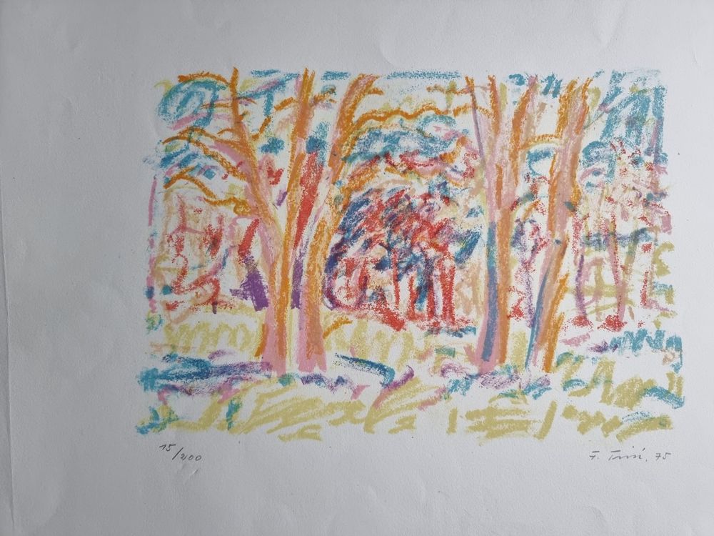 Künstler?LITHOGRAPHIE SIGNIERT NUMMERIERT | Kaufen auf Ricardo