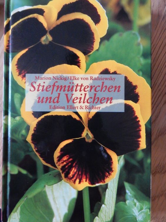 antikes Buch: Stiefmütterchen + Veilchen Nickig/Radziewsky | Kaufen auf ...