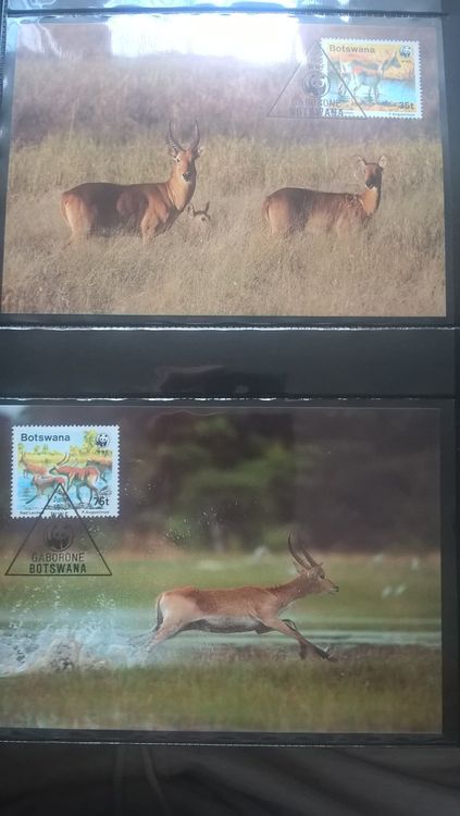 WWF Botswana 1988 Roter Litschi Satz Maximumkarten (Neu (gemäss Beschreibung)) in Liestal für ...
