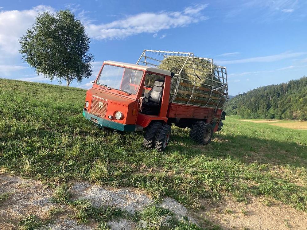 Reform muli 45 Inkl. Ladegerät | Kaufen auf Ricardo