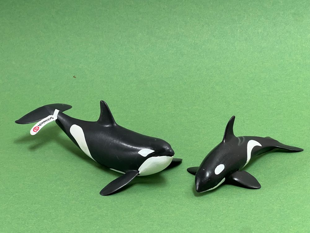 Schleich Orka und Orka Kalb Orca | Kaufen auf Ricardo