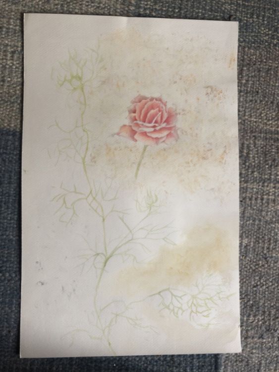 Aquarell Rosenbild handgemalt Unikat zart Rosa | Kaufen auf Ricardo