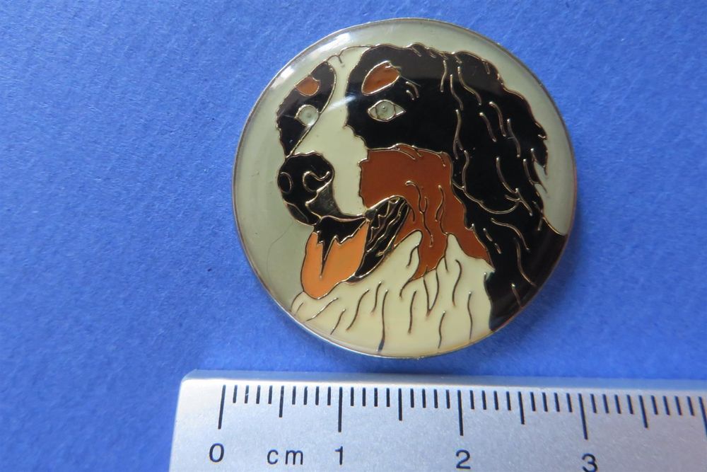 Pin's, BERNER SENNENHUND, HUND (Gebraucht) in Neuhausen für CHF 3.7 ...