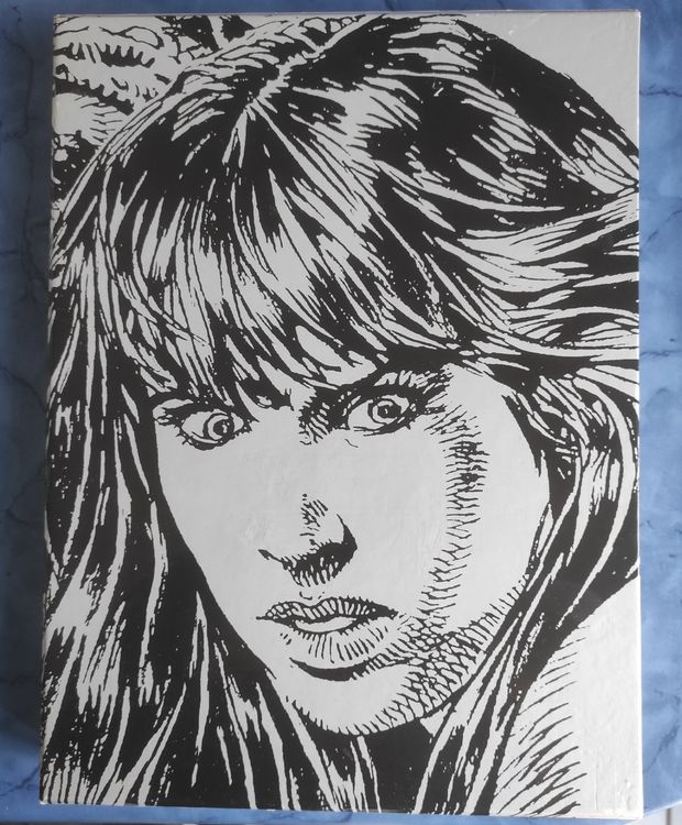 Coffret DRUUNA 4 albums (2 EO) Adultes Limité 500 Ex. (D'occasion) à ...