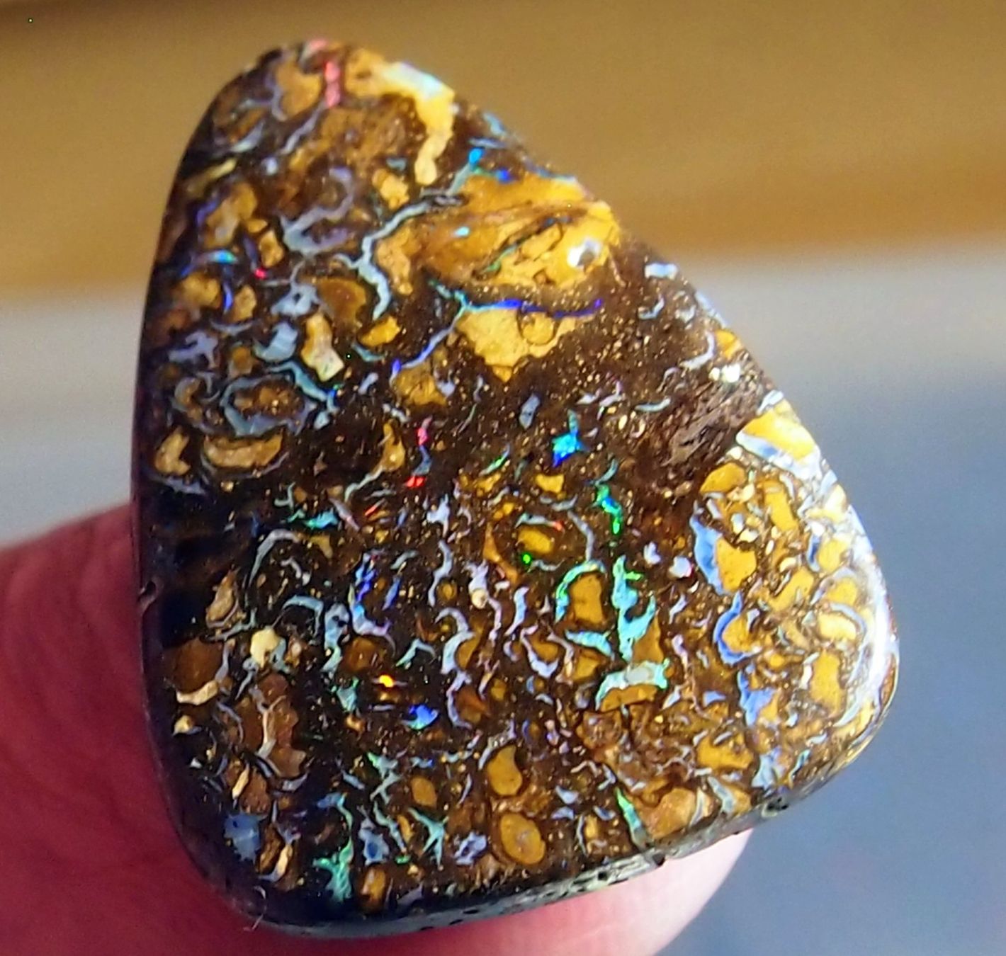 🔥 Boulder Opal Edelstein, viele Funken, Rarität... (Neu und ...