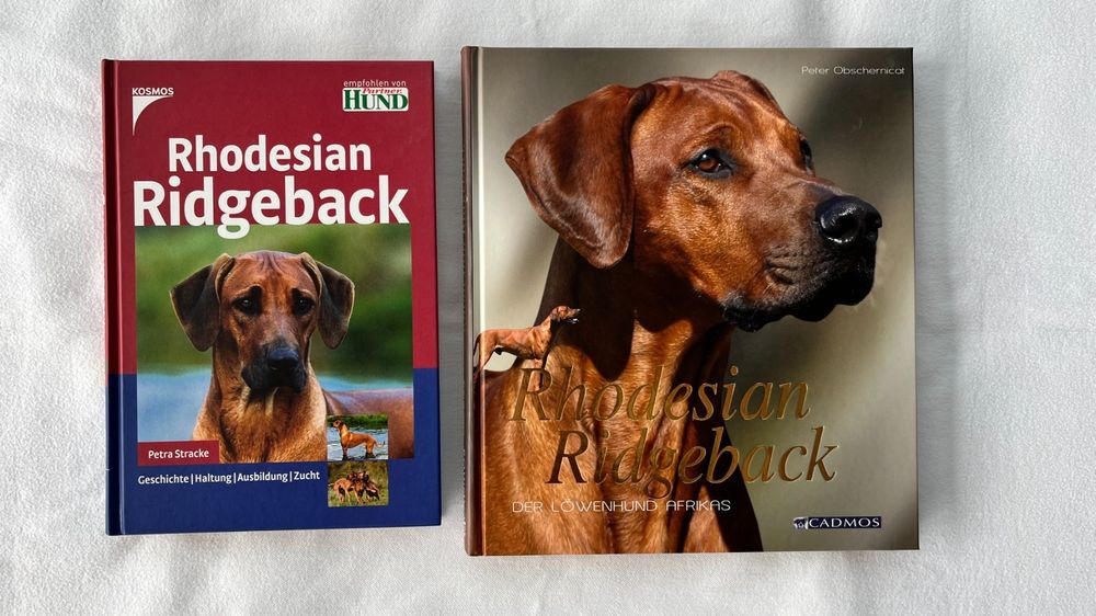 Rhodesian Ridgeback (Neu (gemäss Beschreibung)) in Niederbipp für CHF ...