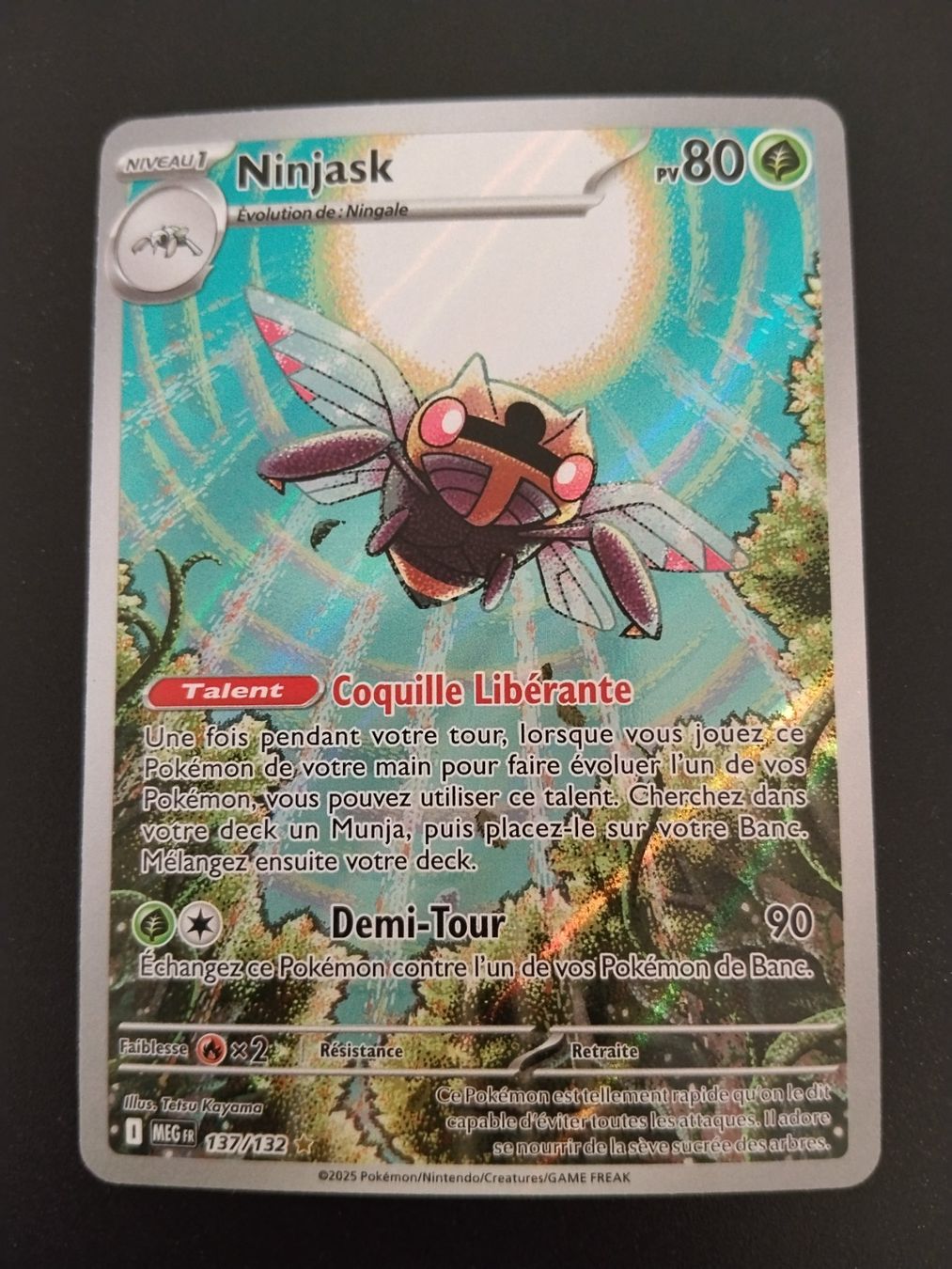 Pokémon Méga-Evolution: Ninjask 137/132 FR (D'occasion) à Palézieux ...