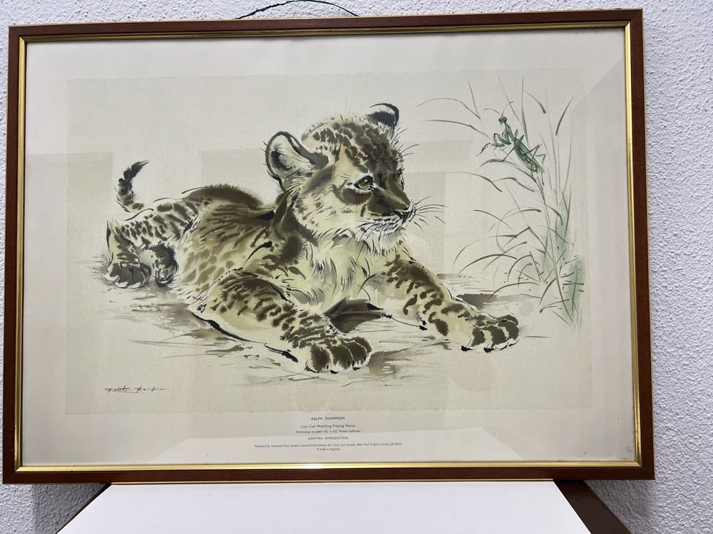 Kunstdruck junger Löwe von Ralph Thompson (Gebraucht) in Au ZH für CHF ...
