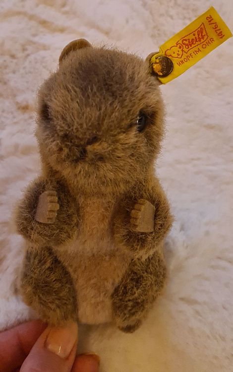 Süsser Steiff Murmeltier Plüschtier (Gebraucht) in Horgenberg für CHF ...