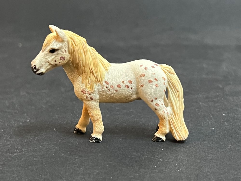 SCHLEICH 13759 - Falabella Wallach Pferd (Gebraucht) in Ennetbaden für CHF 12 – mit Lieferung ...