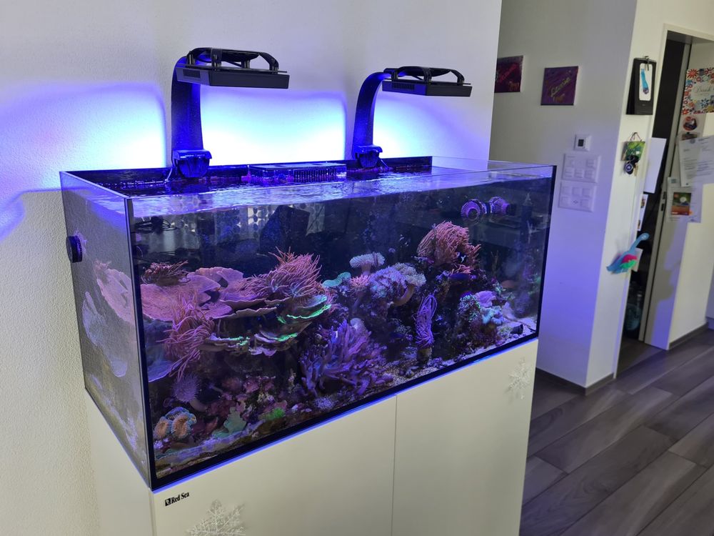 Meerwasseraquarium Red Sea Reefer 350 complete (Gebraucht) in ...