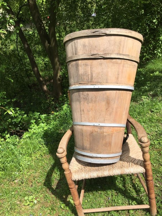 Tause | Kaufen auf Ricardo