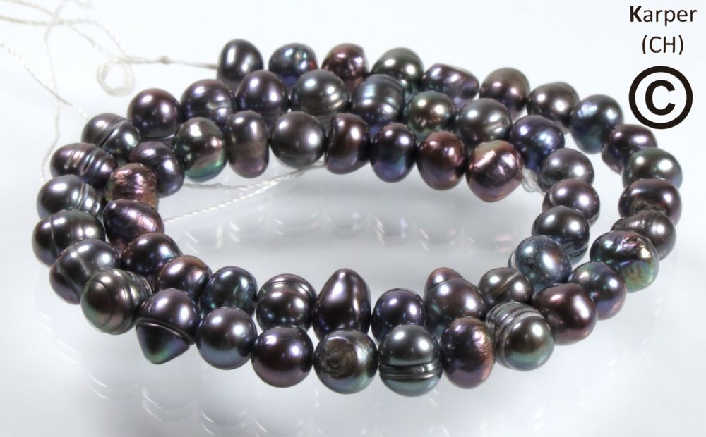 Süßwasserzuchtperlen / Rang Perle de culture d'eau douce (Neu und ...