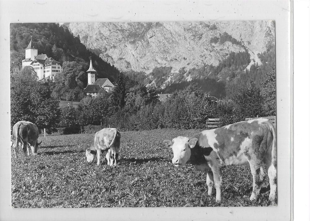BE Wimmis Schloss und Kirche mit Kühen (Gebraucht) in Schocherswil für CHF 5 – mit Lieferung auf ...