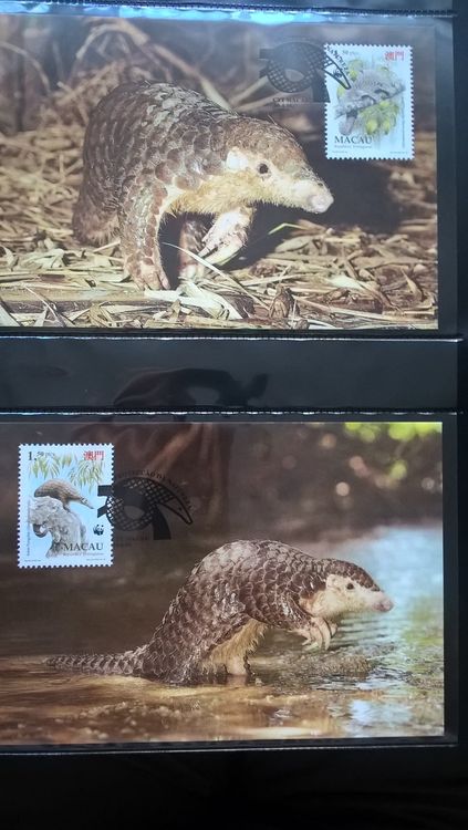 Macao 1995 Satz WWF Chinesisches Schuppentier Maximumkarten (Neu (gemäss Beschreibung)) in ...