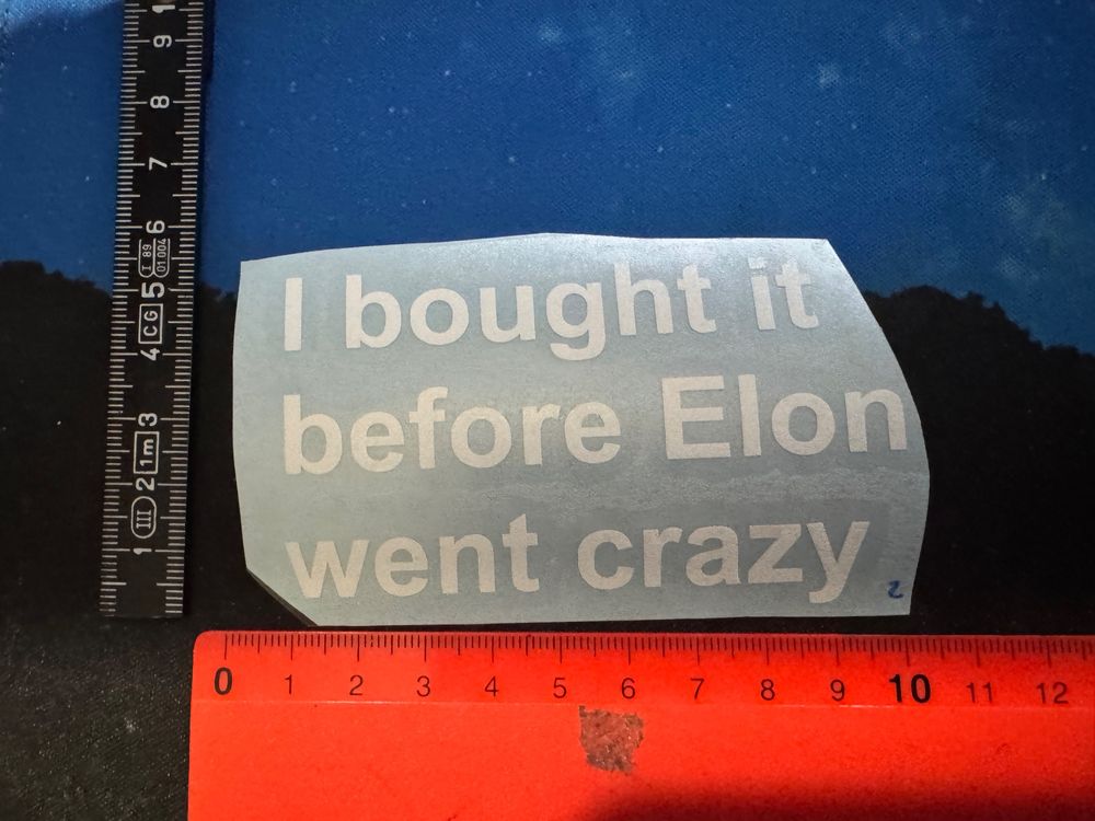 Vinyl Sticker für Tesla - I bought it before Elon went crazy | Kaufen ...