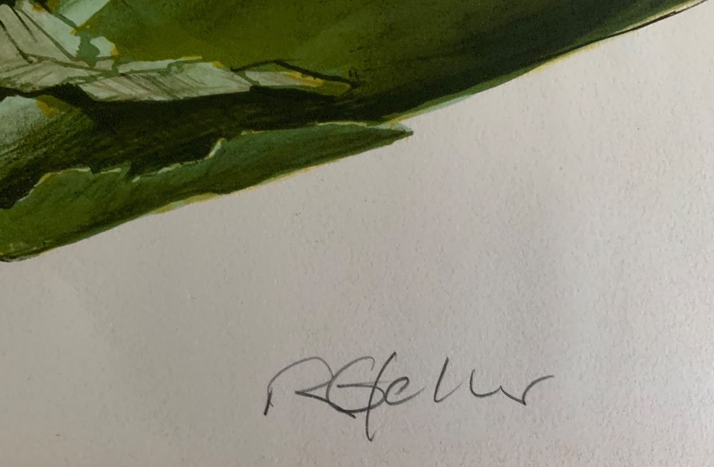 Rolf Gfeller (Bern 1924-) orig. Lithographie (Gebraucht) in Chur für ...