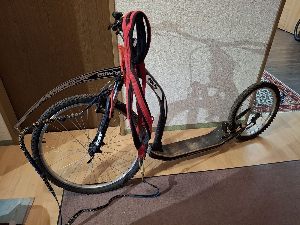 Gravity Scooter (Gebraucht) in Rupperswil für CHF 255 – nur Abholung ...