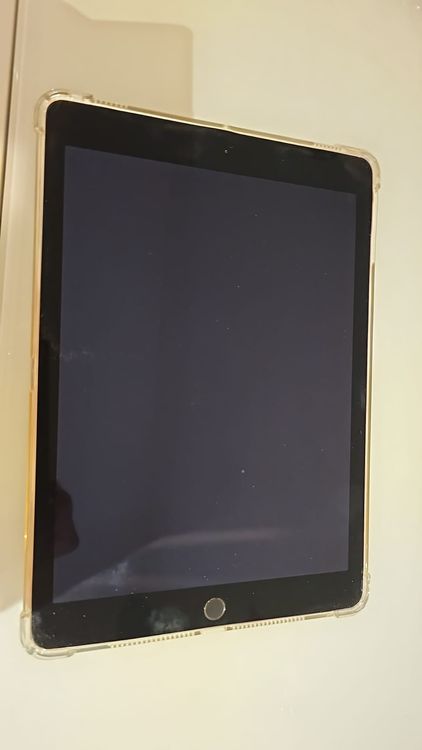 Apple Ipad Air 2 | Kaufen auf Ricardo