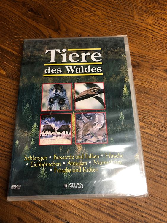 DVD Tiere des Waldes | Kaufen auf Ricardo