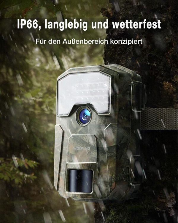 Wildkamera Solar 4K 48MP Nachtsicht Bew… (Neu und originalverpackt) in ...